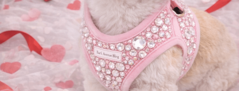 Bark Avenue Bling – Your Pets Deserve To Shine, Start With a Gem ...